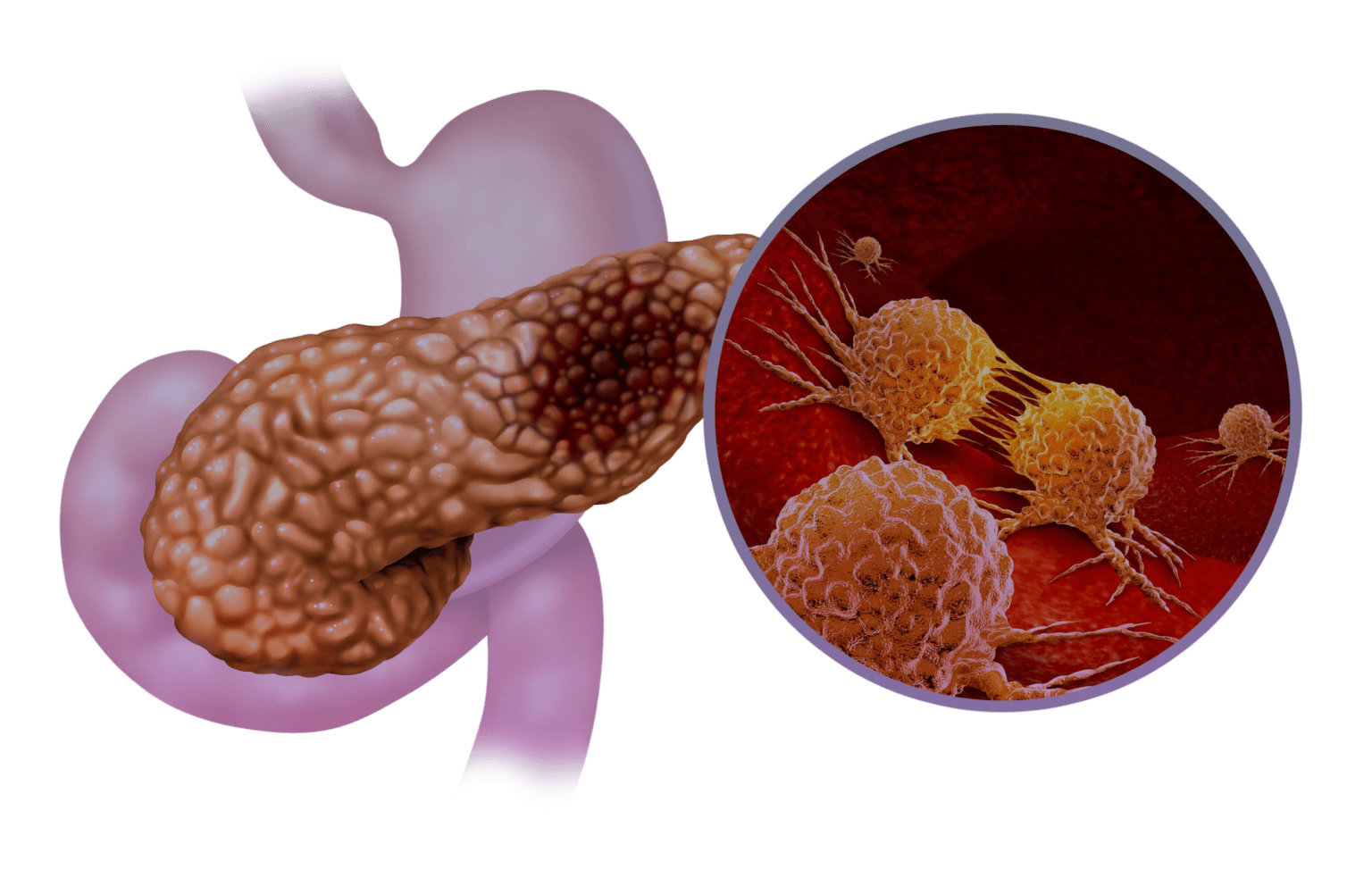 Diagnostic Applications - ChiRhoClin