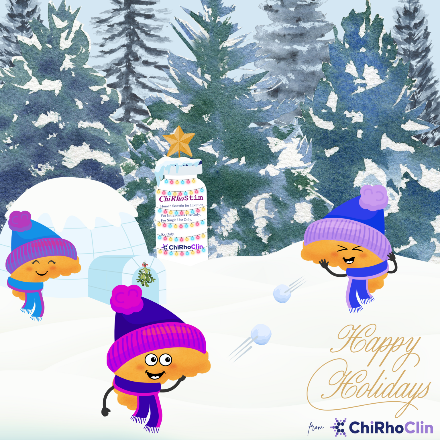 What A Wonderful Winter Wonderland - ChiRhoClin